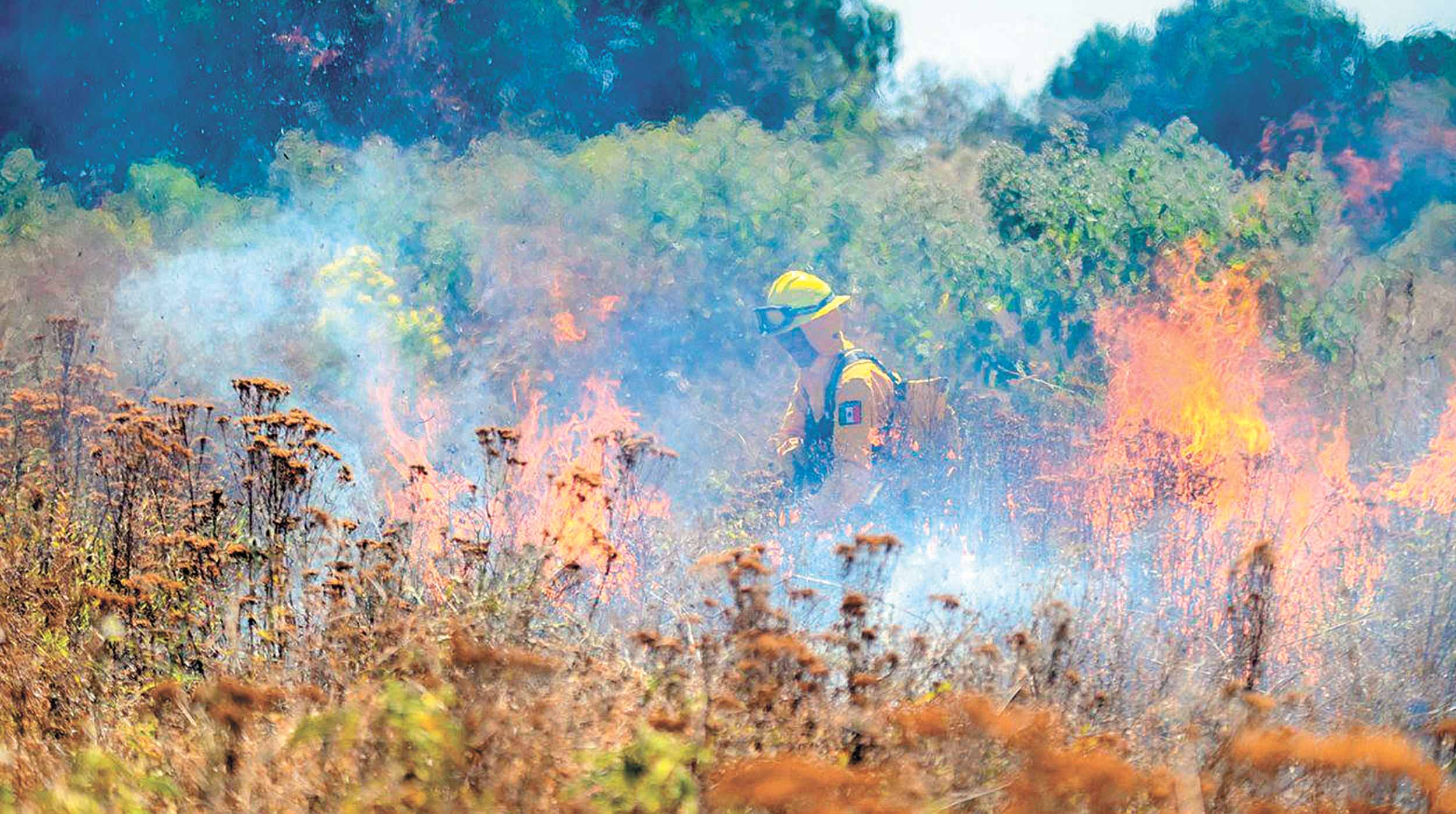 Provocan incendios forestales - La Comadre 101.7 | La Música más ...