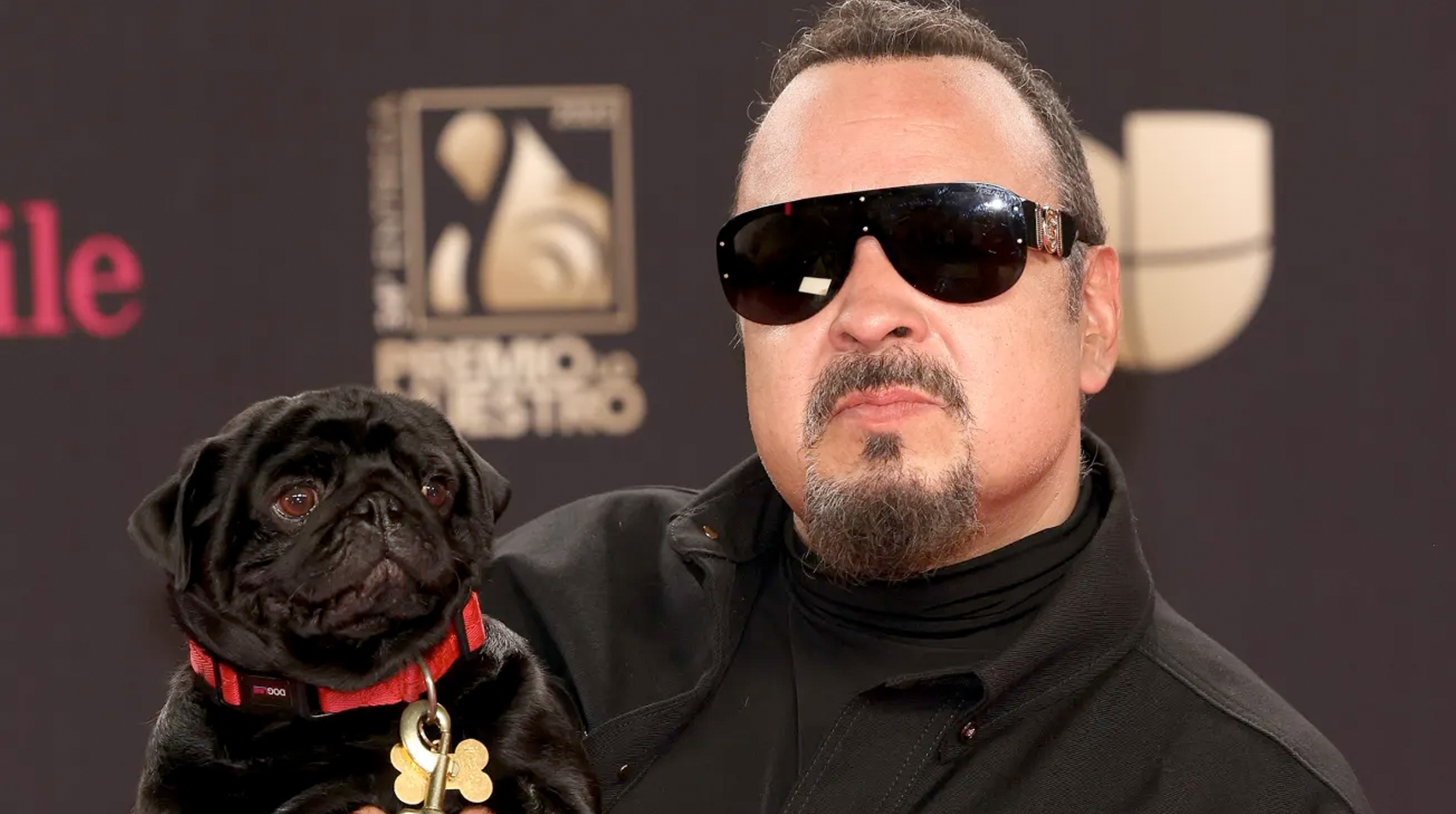 EL PUG DE PEPE AGUILAR DESMIENTE LOS RUMORES DE SU MUERTE - La Comadre ...